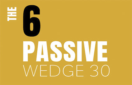 Ascendo The 6 Wedge 30 Immersive Audio Monitor Loudspeaker | Actsessory Shoppe