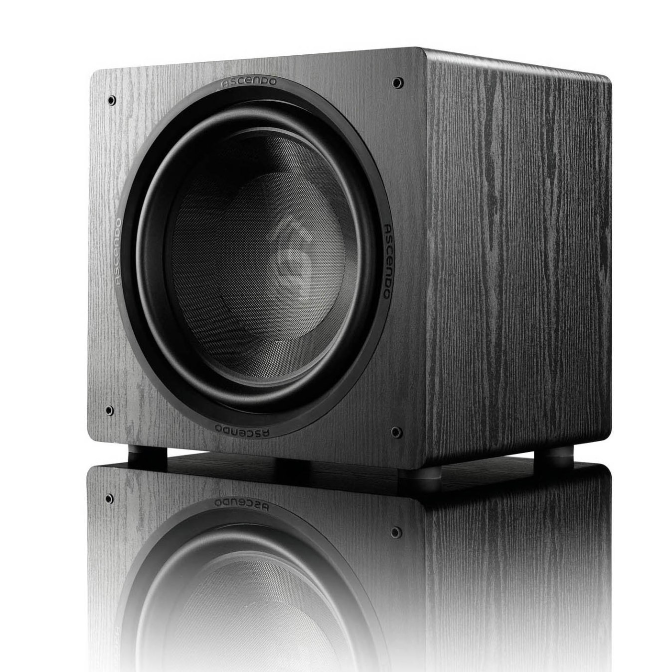 Ascendo THE16 SUB ACTIVE SEALED Subwoofer | Actsessory Shoppe