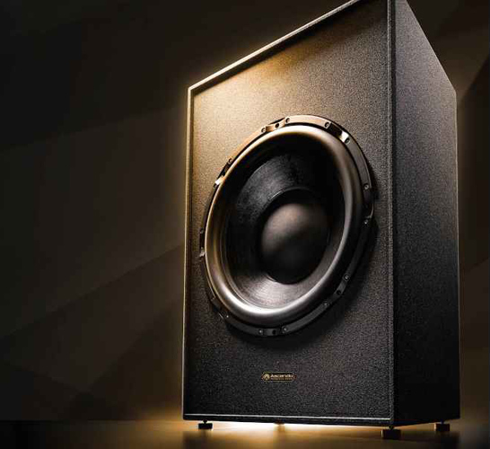 Ascendo THE24 PRO ACTIVE SEALED Subwoofer | Actsessory Shoppe